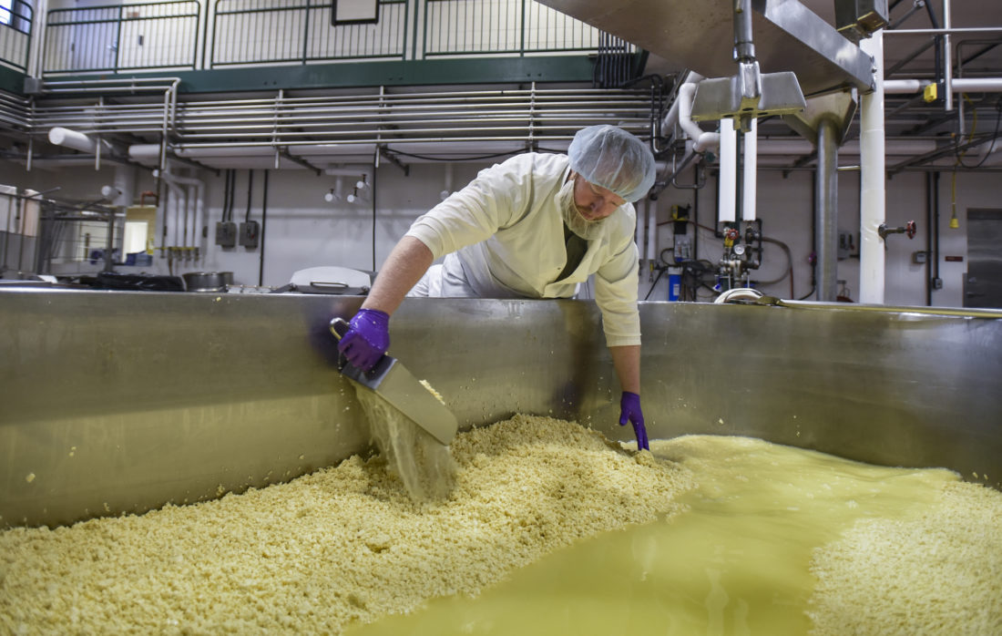 What you should know about Michigan State University cheeses | News ...